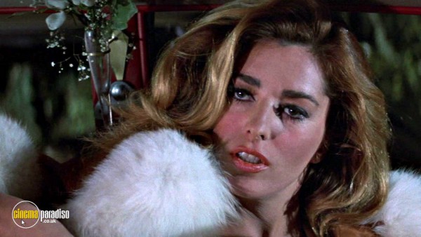 Edy Williams Beyond The Valley Of The Dolls